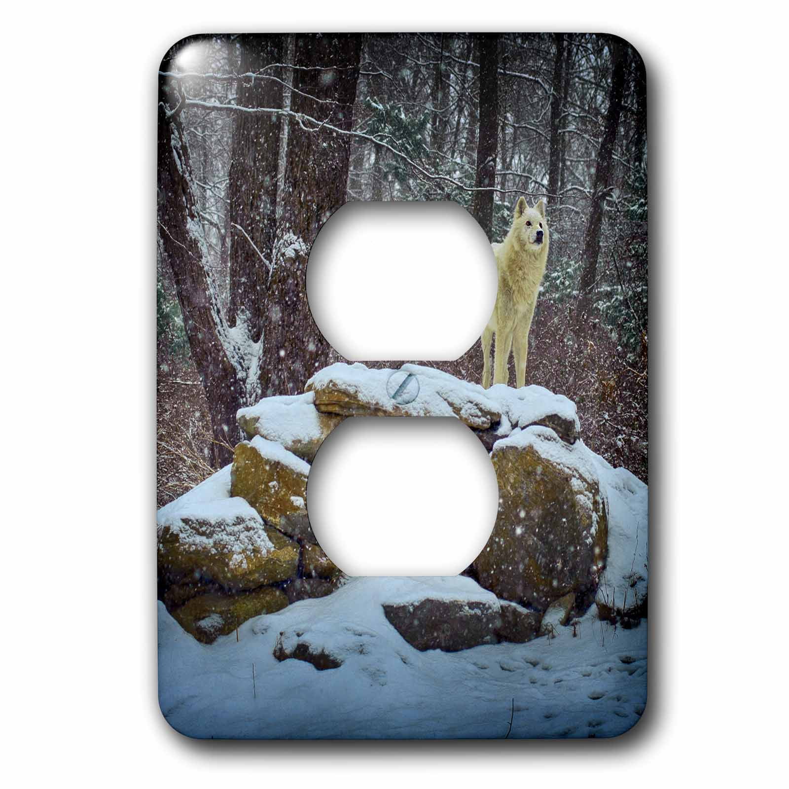 Arctic Wolf Blue 2 plug outlet cover lsp-100273-6 - Walmart.com