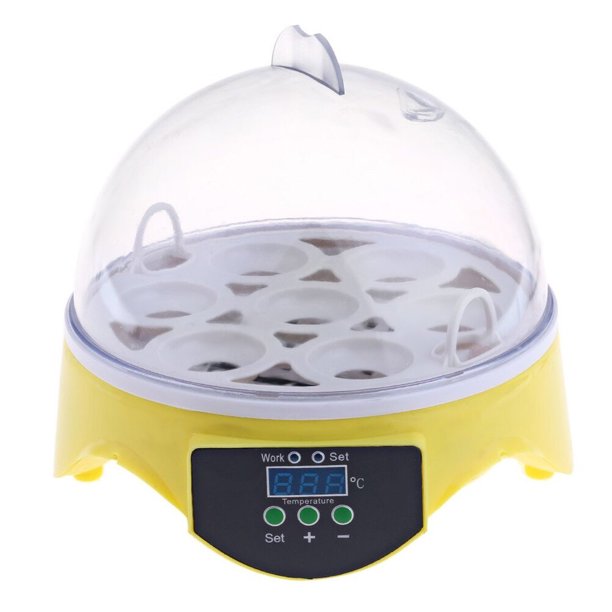 Hatching Eggs Incubator 7 Eggs Incubators Digital Poultry Hatcher for ...