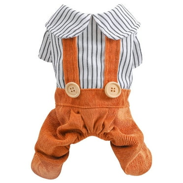 Funny Dog Clothes - Design a Unique and Hilarious Outfit for Your Pet ...