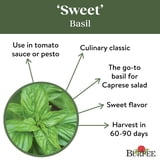 Burpee Organic Sweet Basil Herb Seed, 1-Pack - Walmart.com