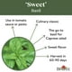 Burpee Organic Sweet Basil Herb Seed, 1-Pack - Walmart.com