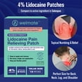 WELMATE Lidocaine 4% Pain Relief Patches | Maximum Strength Numbing Relief | 15 Count HSA/FSA ...