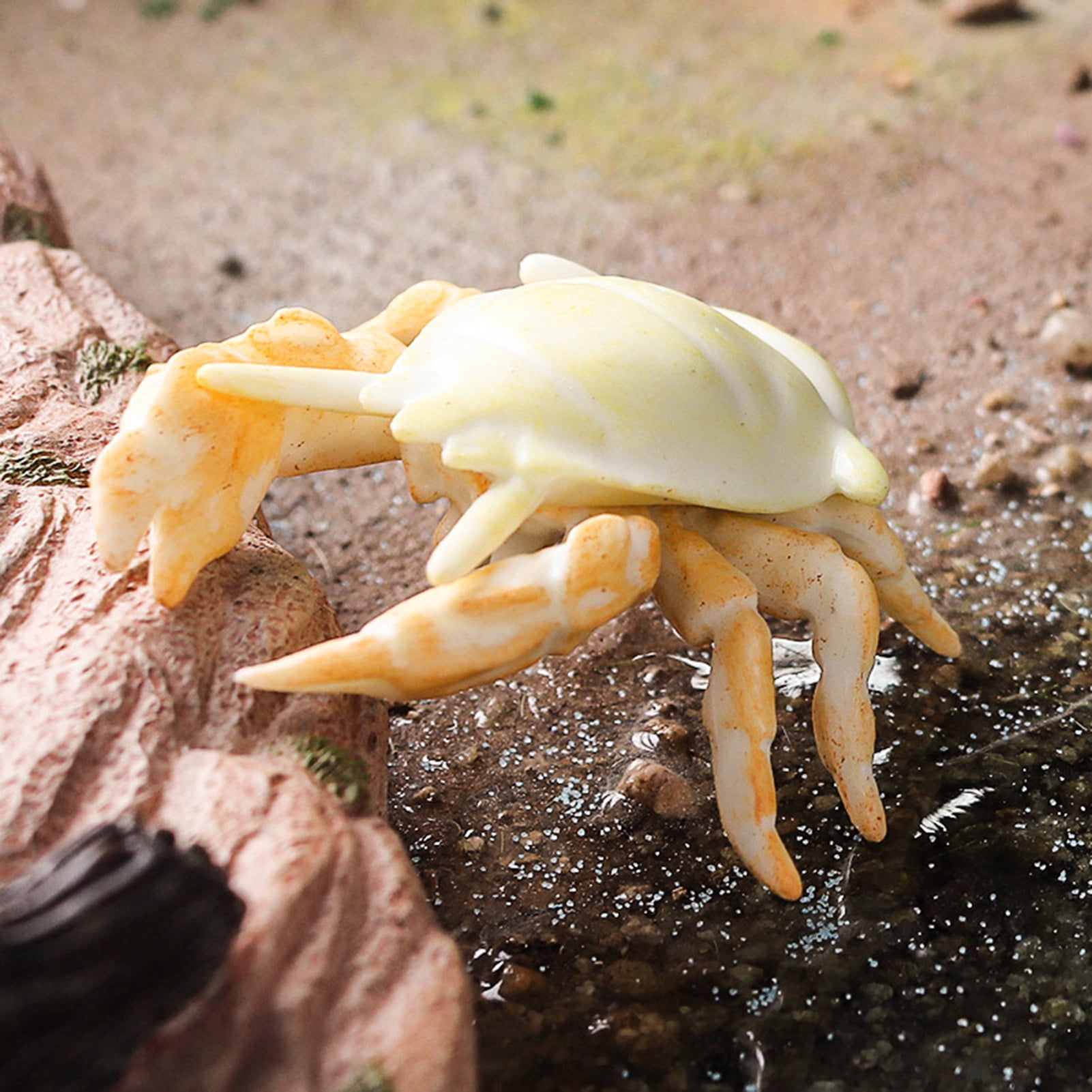 Hesroicy Simulation Crab Good Detail Clear Texture Aquarium Landscaping ...