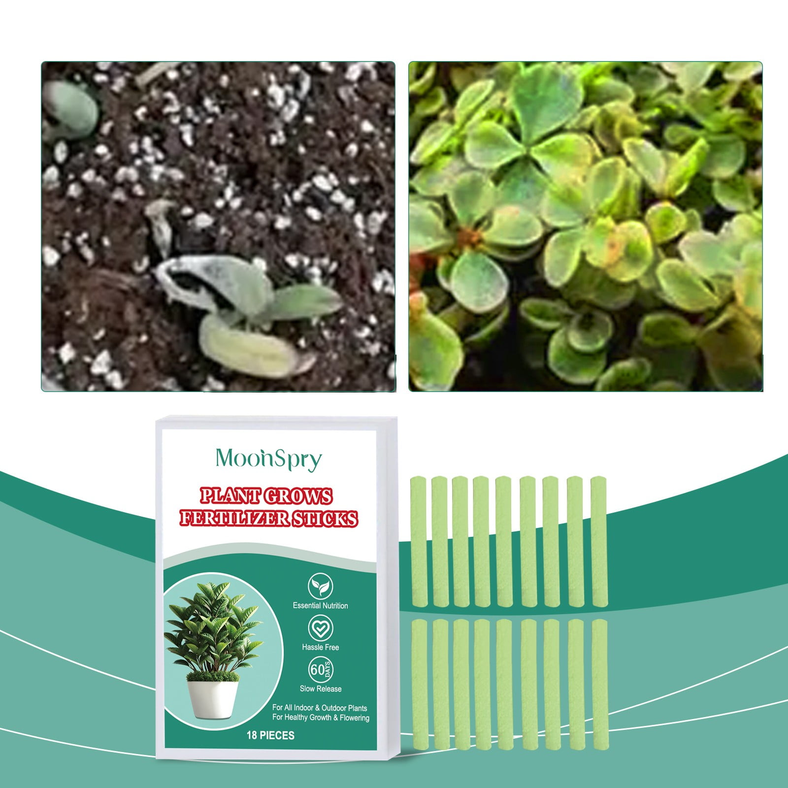 Click here for Moresec Under $5 Plants Fertilizer Sticksplants Fe... prices