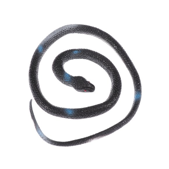 Rubber Snake