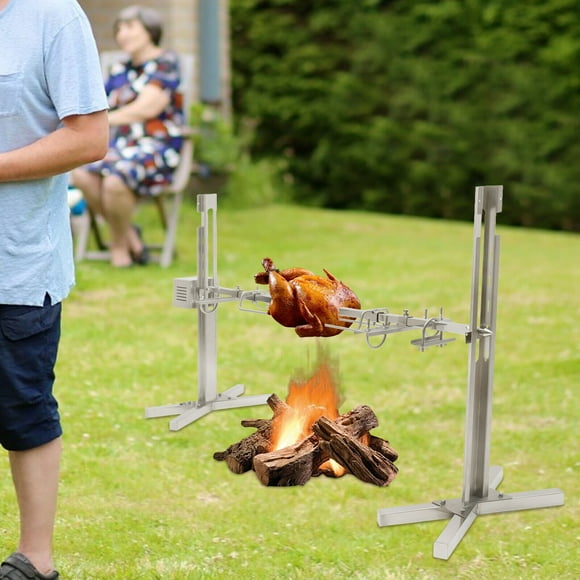 Electric Pig Roaster