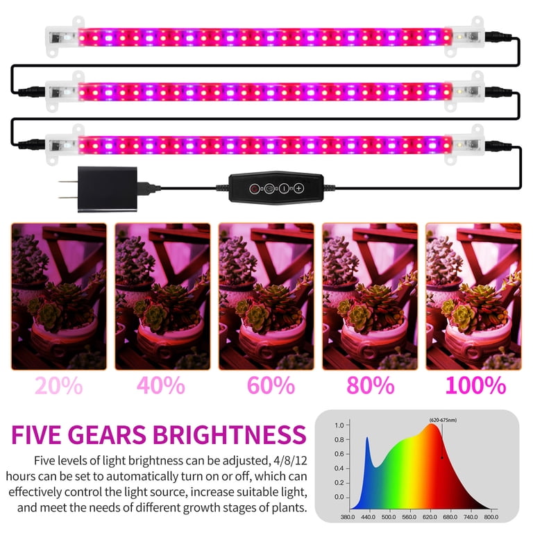 Full Spectrum Light Source