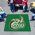UNC - Charlotte Tailgater Rug 5'x6' - Walmart.com