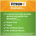 Vitron C High Potency Iron and Vitamin C Vegan Tablets - 60 Count Each ...