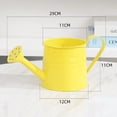 Watering Can,Plant Watering Can,Watering Can Metal, 1 Gallon Matte ...