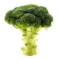 1000 CALABRESE BROCCOLI ITALIAN Green Sprouting Vegetable Brassica ...