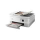 Canon PIXMA TR7020a Wireless Inkjet All-in-One Printer - White - Walmart.com