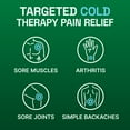 (2 pack) Biofreeze Pain Relief Gel, Back Knee Muscle Joint and Arthritis Pain Relievers, Menthol ...