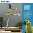Prevue Pet Products Bird Accessories: Coffeawood Java Tree, Medium Size ...