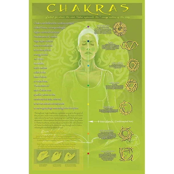 PPHAOSHO Laminated Chakras Mudras Chart Chakras Knowledge Vertical ...