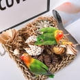 BESTSKY 2026 New Parakeet Toys Natural Rattan Bird Toys Climbing Net ...