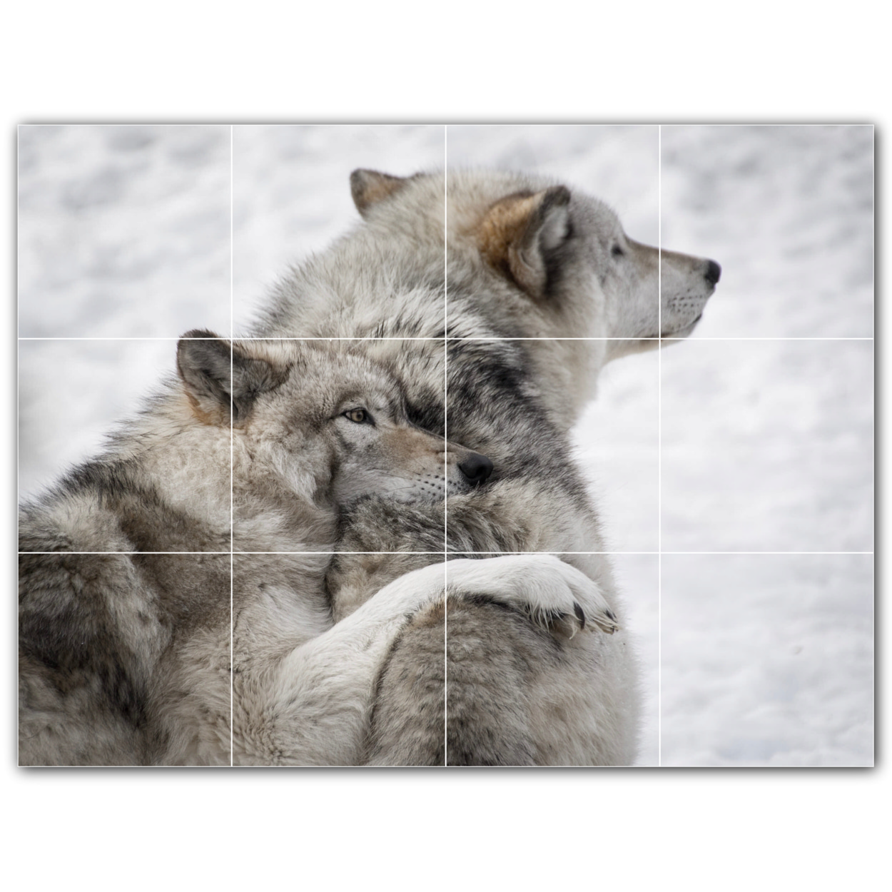 Picture-Tiles.com: Wolf Ceramic Tile Wall Mural WAL501246-43M. 24"W x ...