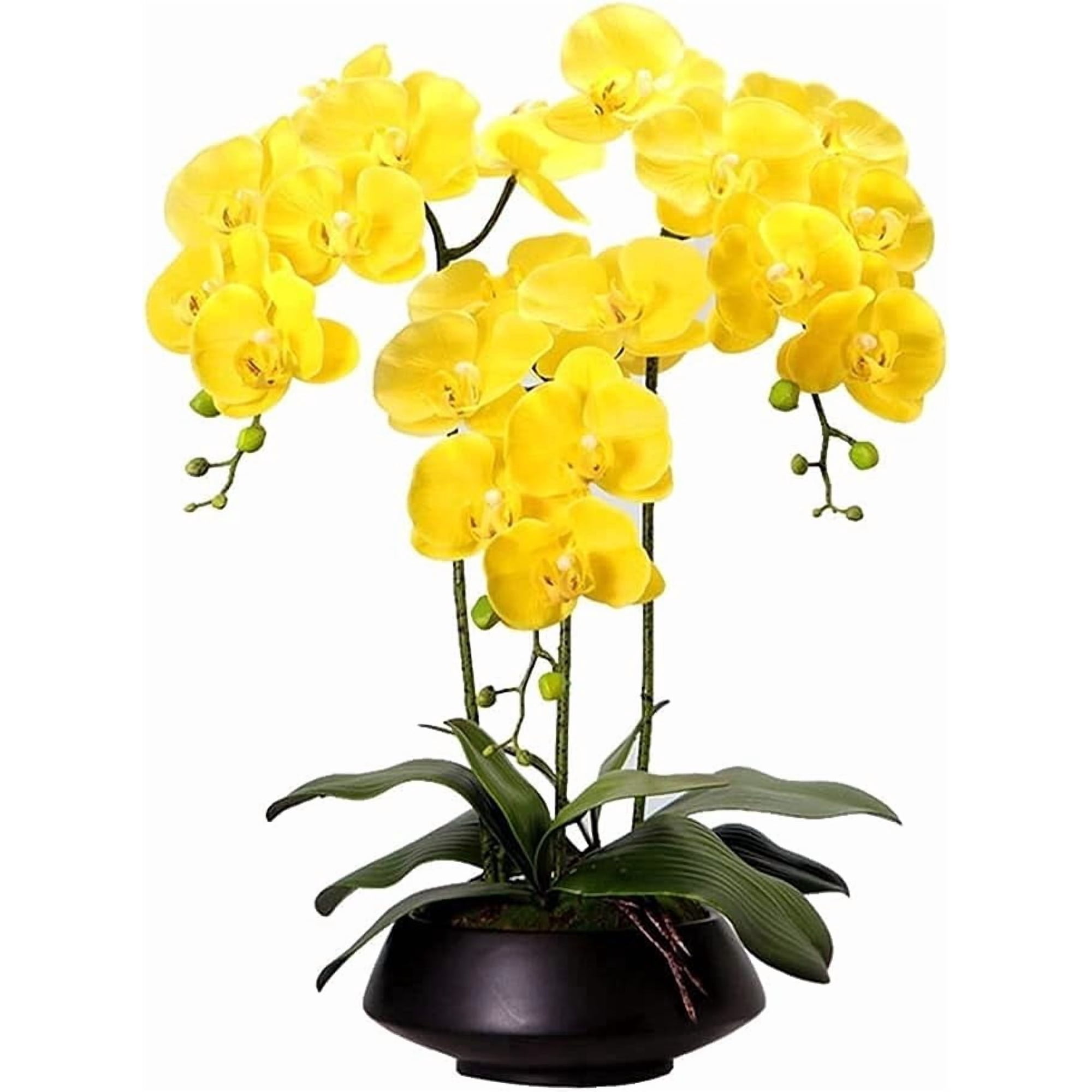 Click here for Generic Artificial Flower Set  Artificial Butterfl... prices
