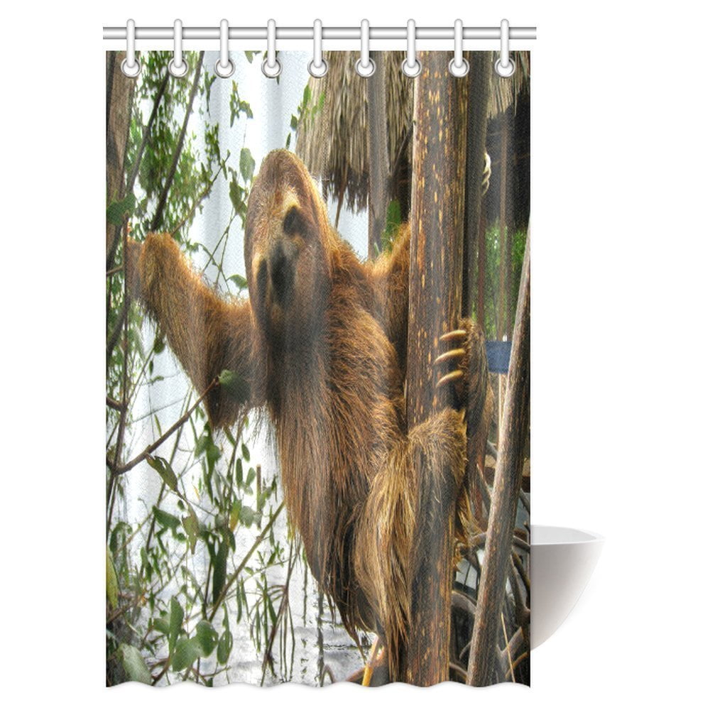MYPOP Sloth Decor Shower Curtain Set, Cute Baby Sloth on Tree Trunk ...