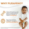 PurAmino Hypoallergenic Infant Formula with DHA, Iron, and Immune ...