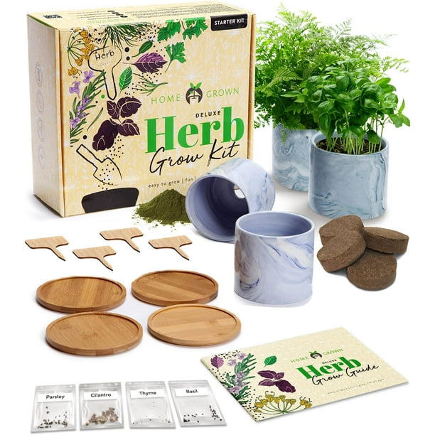 4 Herb Garden Starter Kit Indoor: Complete Grow Kit w/ Deluxe Ceramic ...
