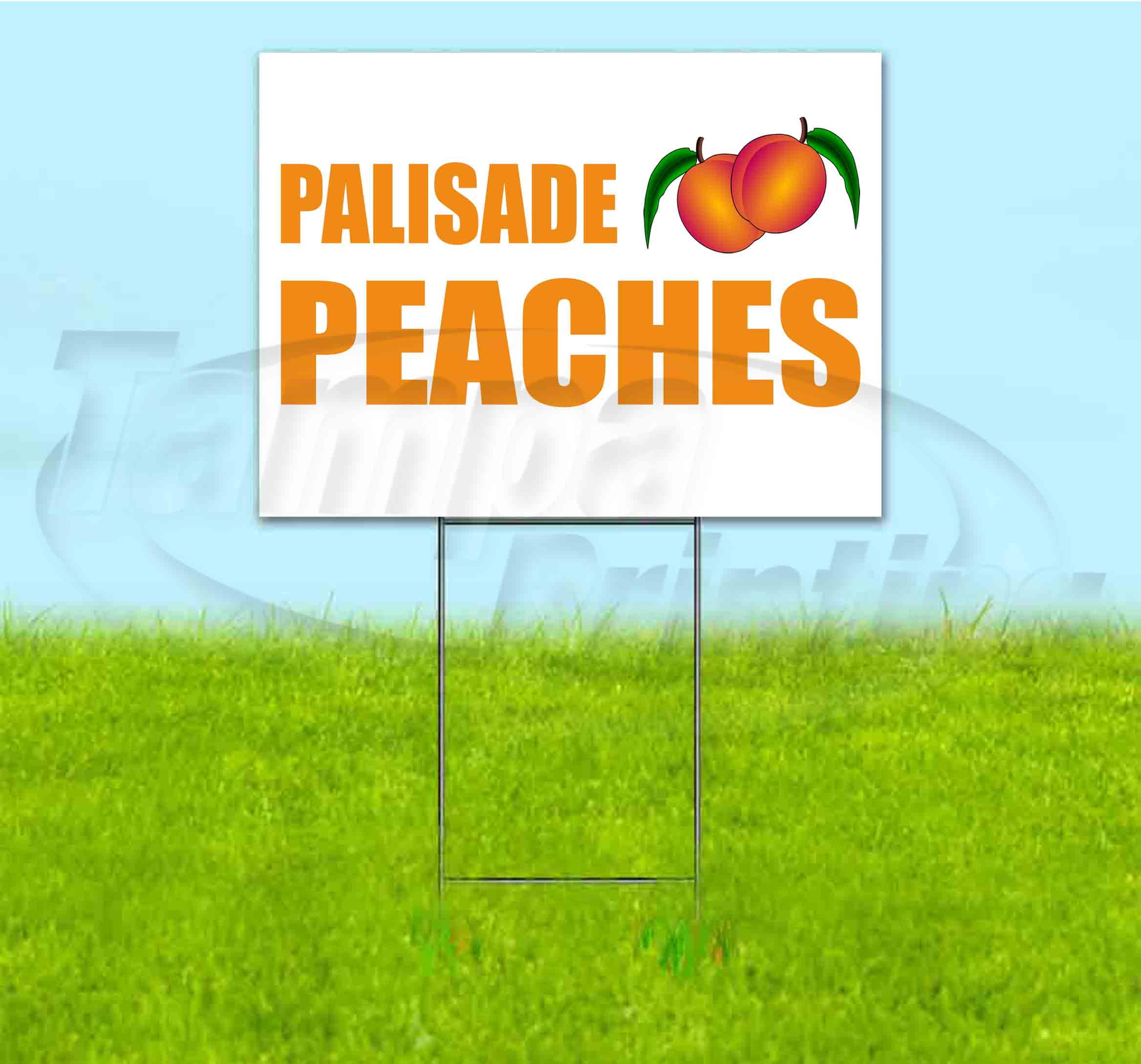 Palisade Peaches (18" x 24") Yard Sign, Includes Metal Step Stake ...