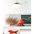 Fanaway Evo2 Retractable 4-blade Lighting with Remote Ceiling Fan ...