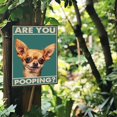 Dog Metal Signs Chihuahua Are You Pooping Funny Tin Sign Vintage Wall ...