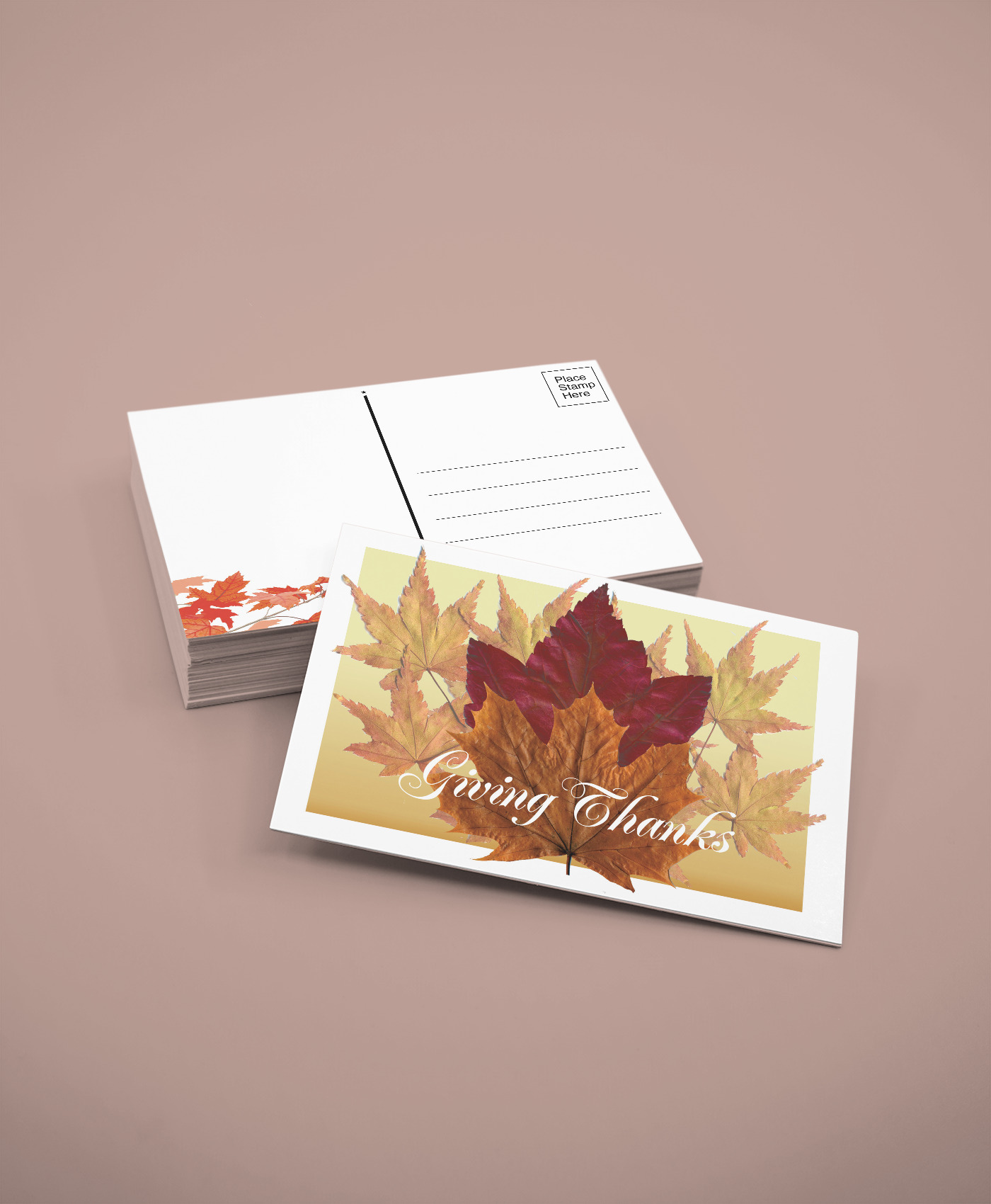 Buy Assorted Thanksgiving Postcards - 4 x 6 Happy Thanksgiving ...