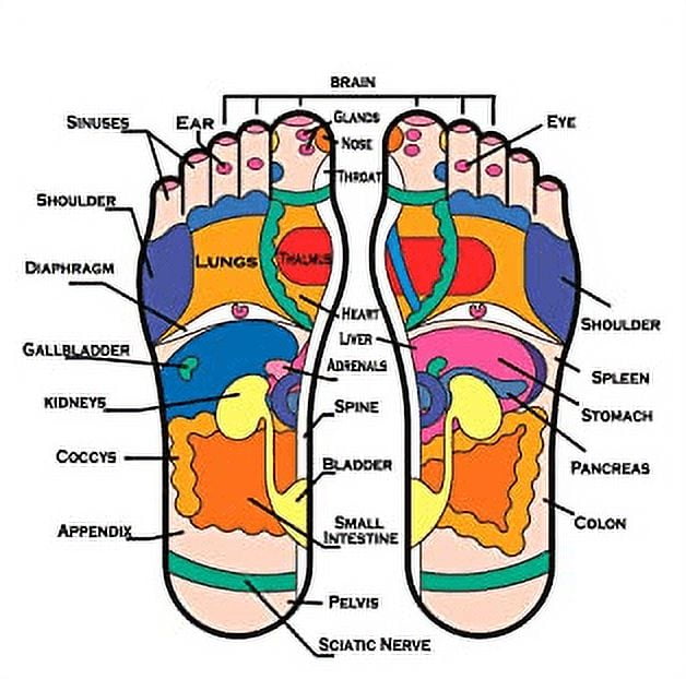 Foot Diagram Pressure Points