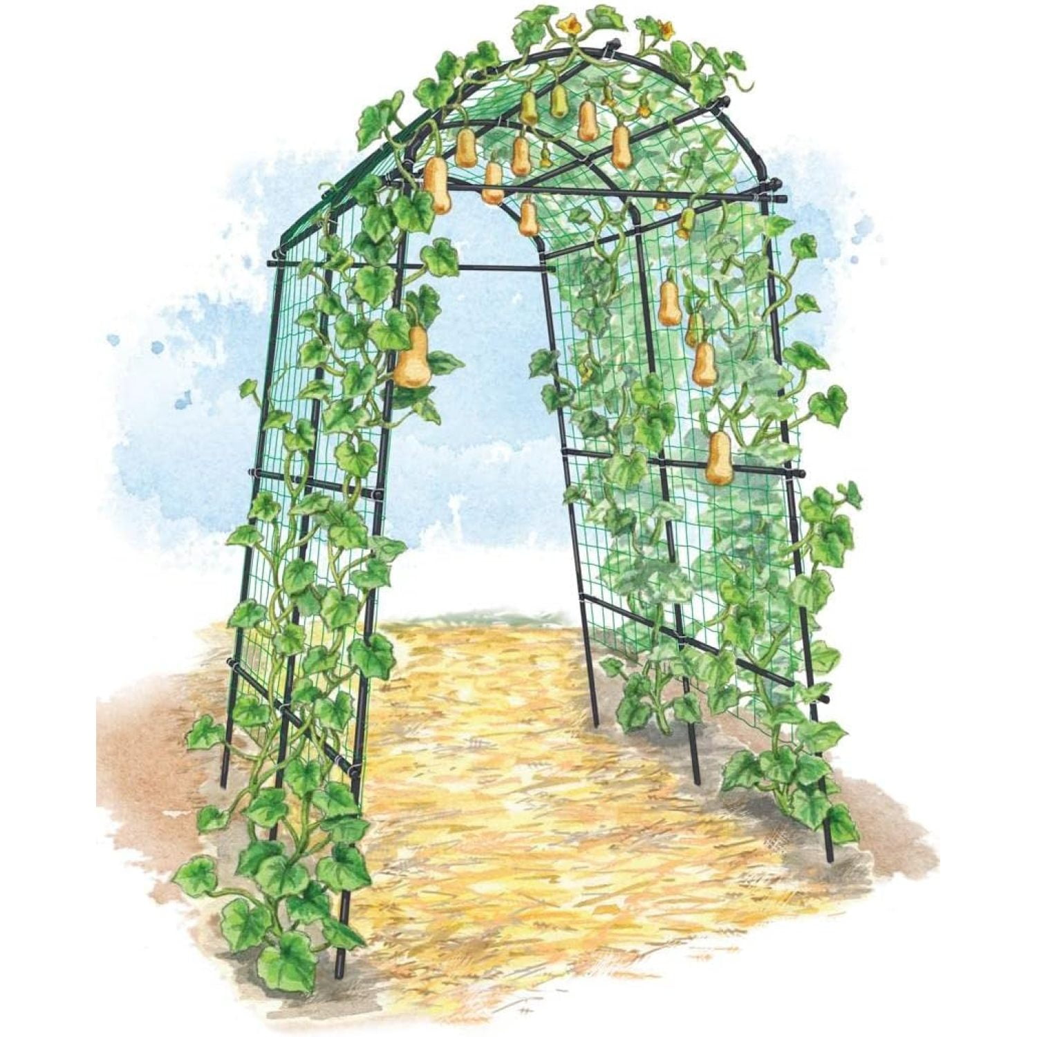Gardener’s Supply Company Extra Tall Garden Arch Arbor 80in Titan ...