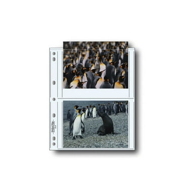 2 x Print File Archival Storage Sheets 35-7B25 for 35mm Film Negatives ...