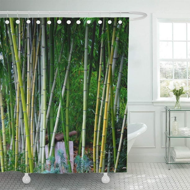 Cynlon Forest Bamboo Grove Green Yellow And Gray Landscape Nature