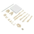 35cm Mini Human Skeleton Model Light Weight Small Educational Human ...