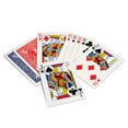 Magic Makers - Packet Killer 50 Tricks with Special Gaff Bicycle Deck ...