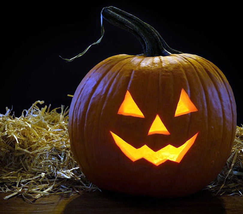 Jack O'Lantern Pumpkin Seeds - 40 Seeds - Walmart.com