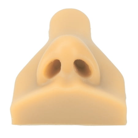 Silicone Nose Model,3D Silicone Nose Model Silicone Nose Modelfor ...