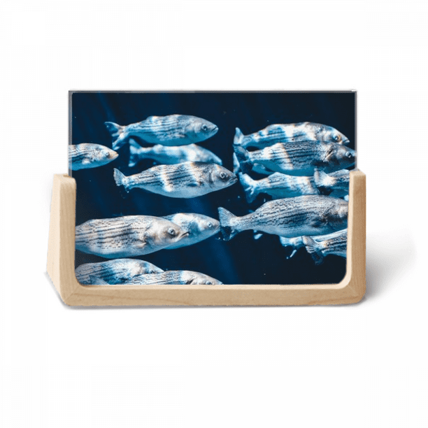 Fish Photo Frames