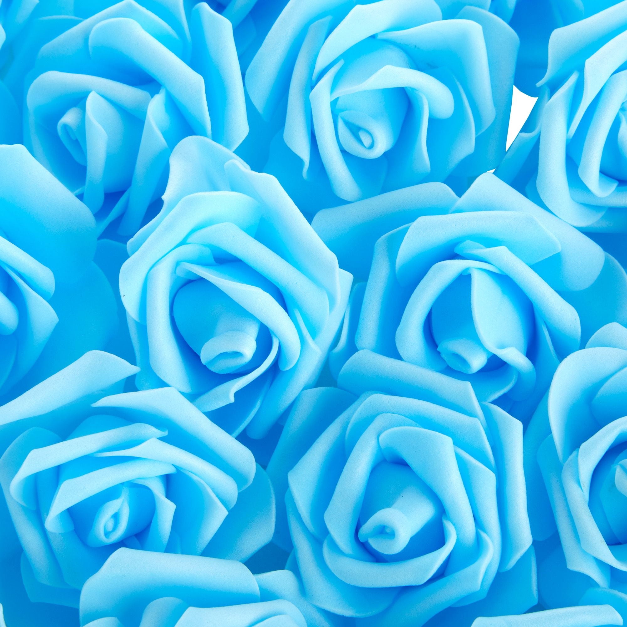 Light Blue Roses Background