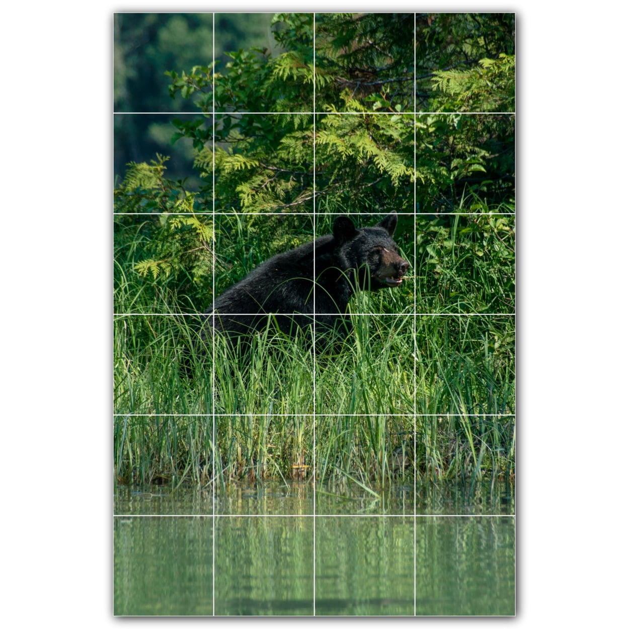 Picture-Tiles.com: Bear Ceramic Tile Wall Mural WAL500122-46M. 24"W x ...