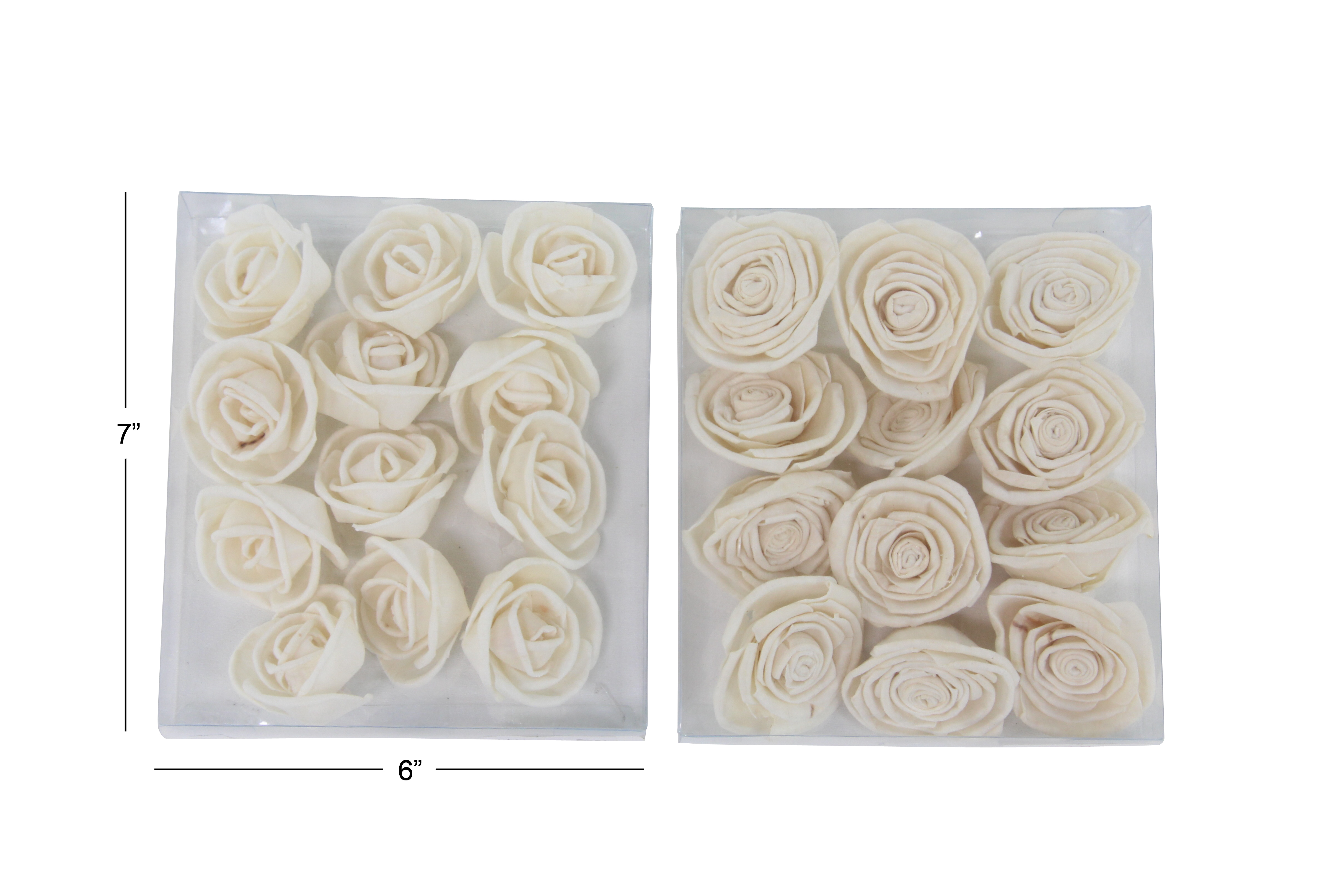 Natural White Rose Flowers Photos | Best Flower Site