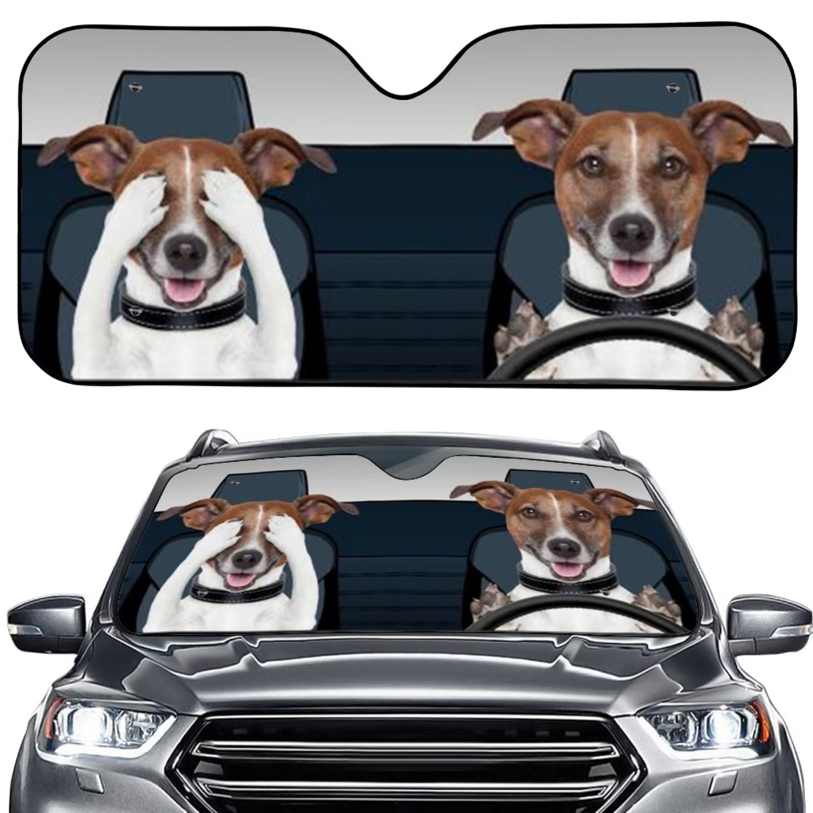 Fun Windshield Sun Shade