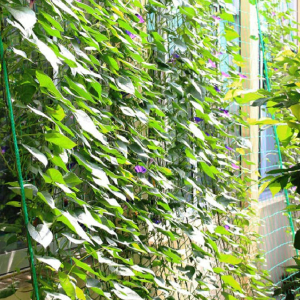 Click here for Ccdes Climbing Plant Netting trellis Netting Plant... prices
