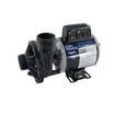 Armstrong Astro 230Ss Stainless Steel Wet Rotor Pump - Walmart.com