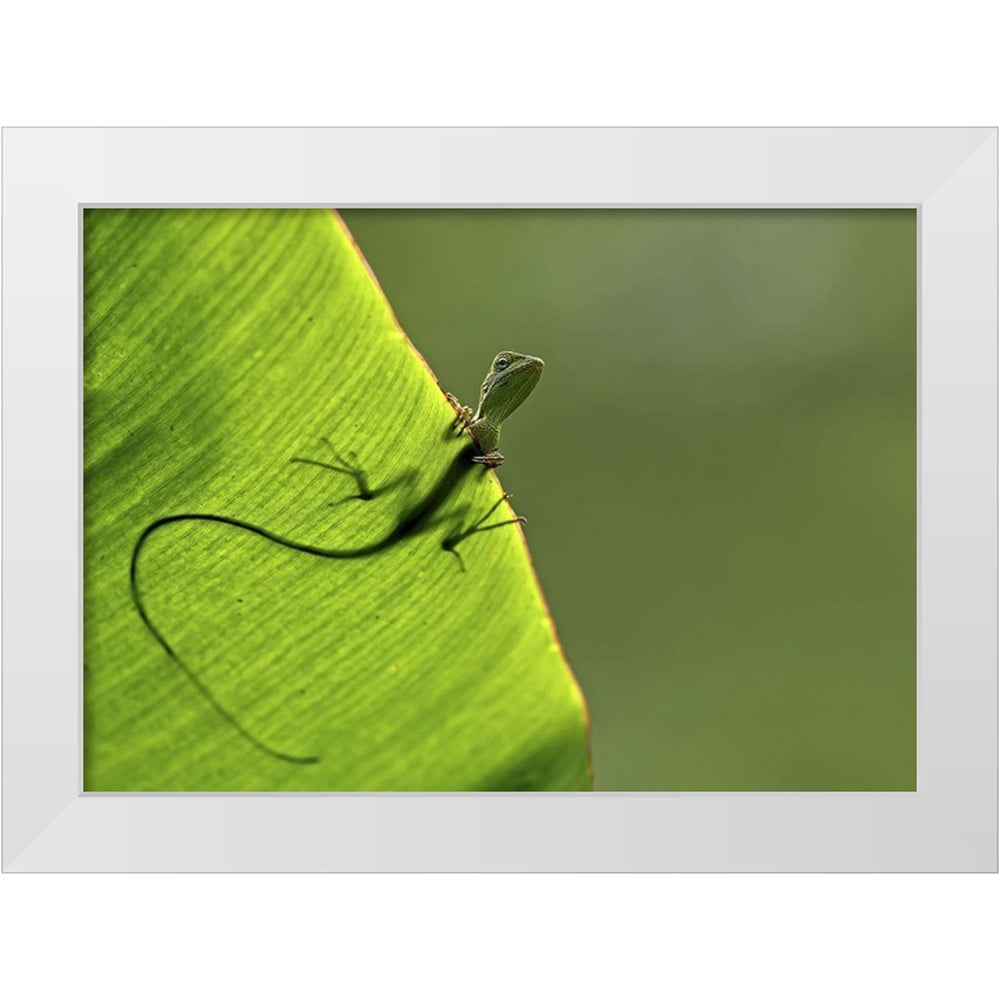 Santosa, Yoline 32x24 White Modern Wood Framed Museum Art Print Titled - Hallo - Walmart.com