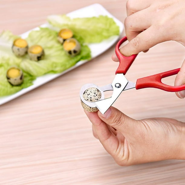 Peggybuy Bird Quail Egg Scissors Pigeon Opener Cutter Cracker Clipper ...