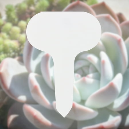 T Typed Plant Label,100pcs Garden Tags Plastic Plant Label Plant ...