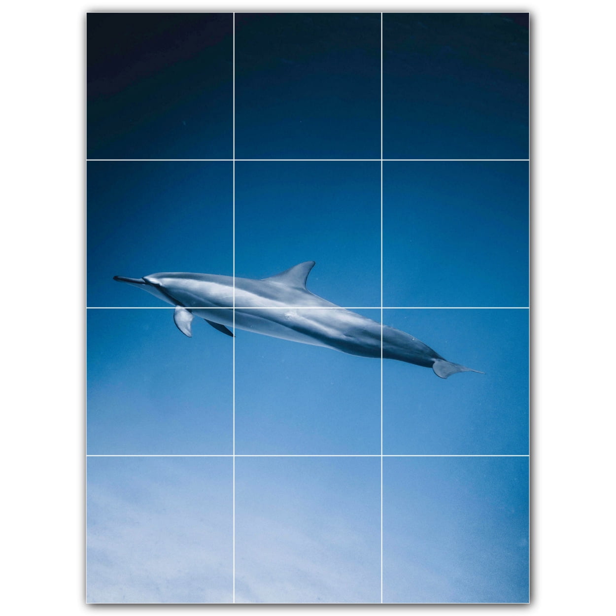 Picture-Tiles.com: Dolphin Ceramic Tile Wall Mural WAL500515-34M. 18"W ...
