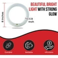 IYFFDFE-FC8T9/CW 22 Watt 8 Inch Round T9 Fluorescent Circular Light ...