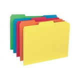 Business Source, BSN43561, 1/3-cut Colored Interior File Folders, 100 ...
